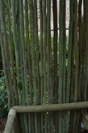 Madera rolliza – Madera Mac